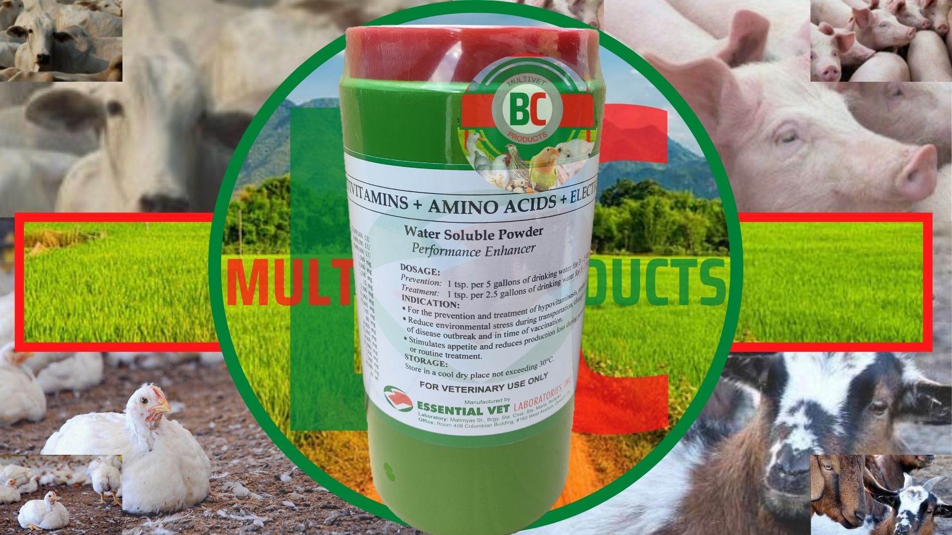 ESSENTIAL VET, MULTIVITAMINS + AMINO ACIDS + ELECTROLYTES[MVEAA](Water ...