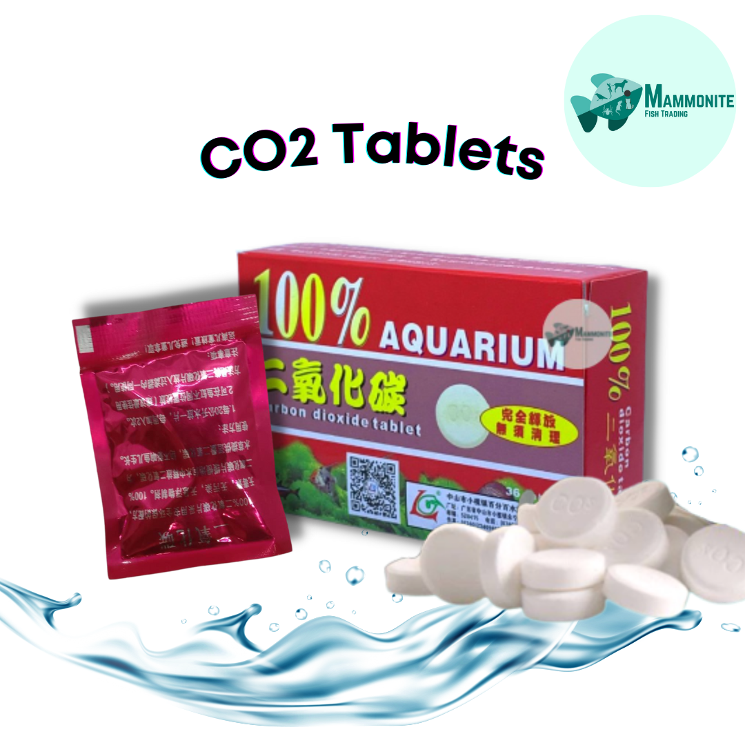 Aquarium Co2 Tablets 12pcs Pack For Aquatic Plants | Lazada PH