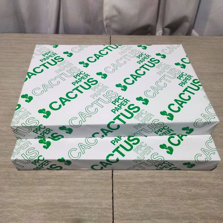 A3 Bond Papers (Hard Copy, Cactus, Copy One, Smartist, OfficePro ...