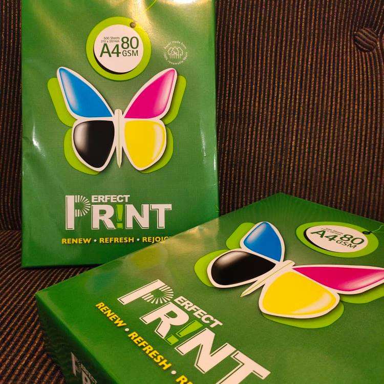 Perfect Print | A4 | 80GSM | 500 sheets | Lazada PH