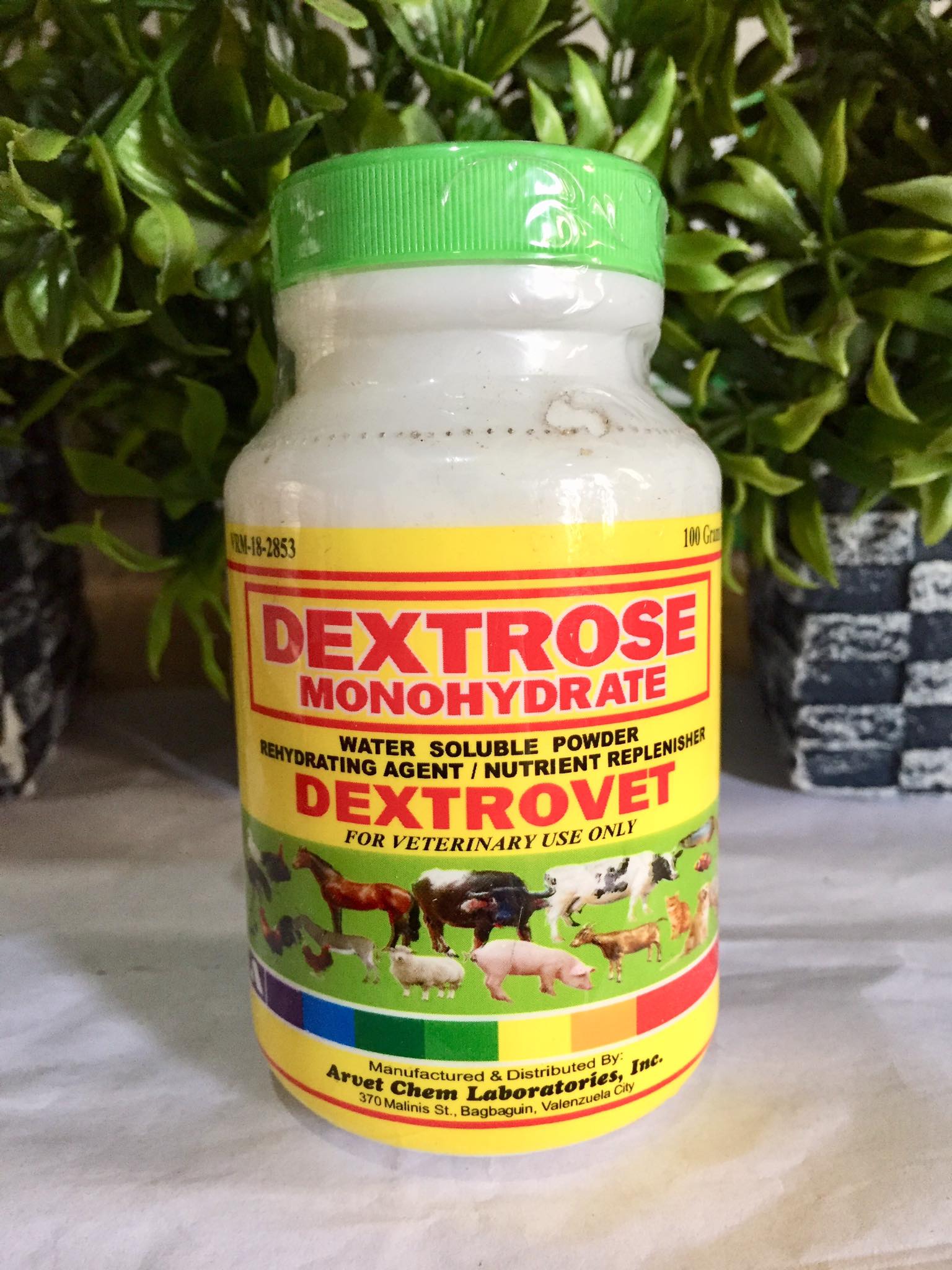 Dextrose Powder 100gms | Lazada PH