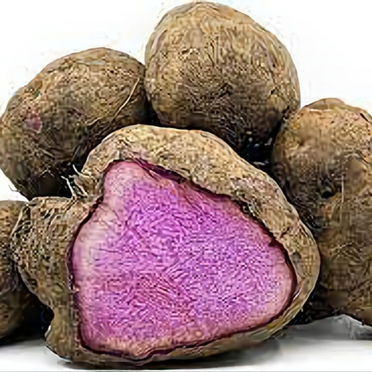 Ube l Purple/ white fruit (1/2kg) | Lazada PH