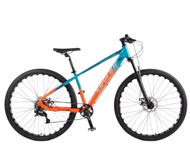 [Bike zone] . SKYLINE ROLLER 29ER 2022 ALLOY 1X8 MECHANICAL DISC BRAKE ...