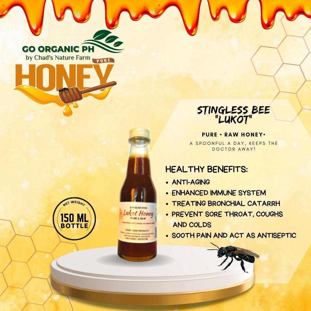 Pure & Raw Stingless Bee/Lukot Honey | Lazada PH