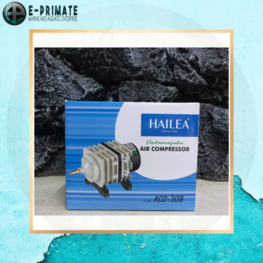 HAILEA Electronic Air Compressor ACO-308 | Lazada PH