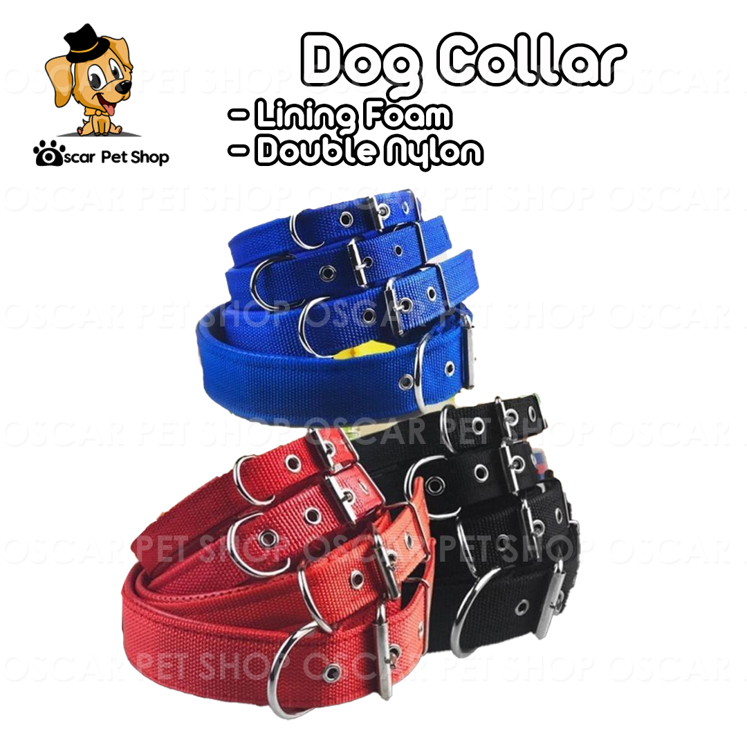 Dog Collar big dogs Collars Color Foam Pet Collars for big dog ...