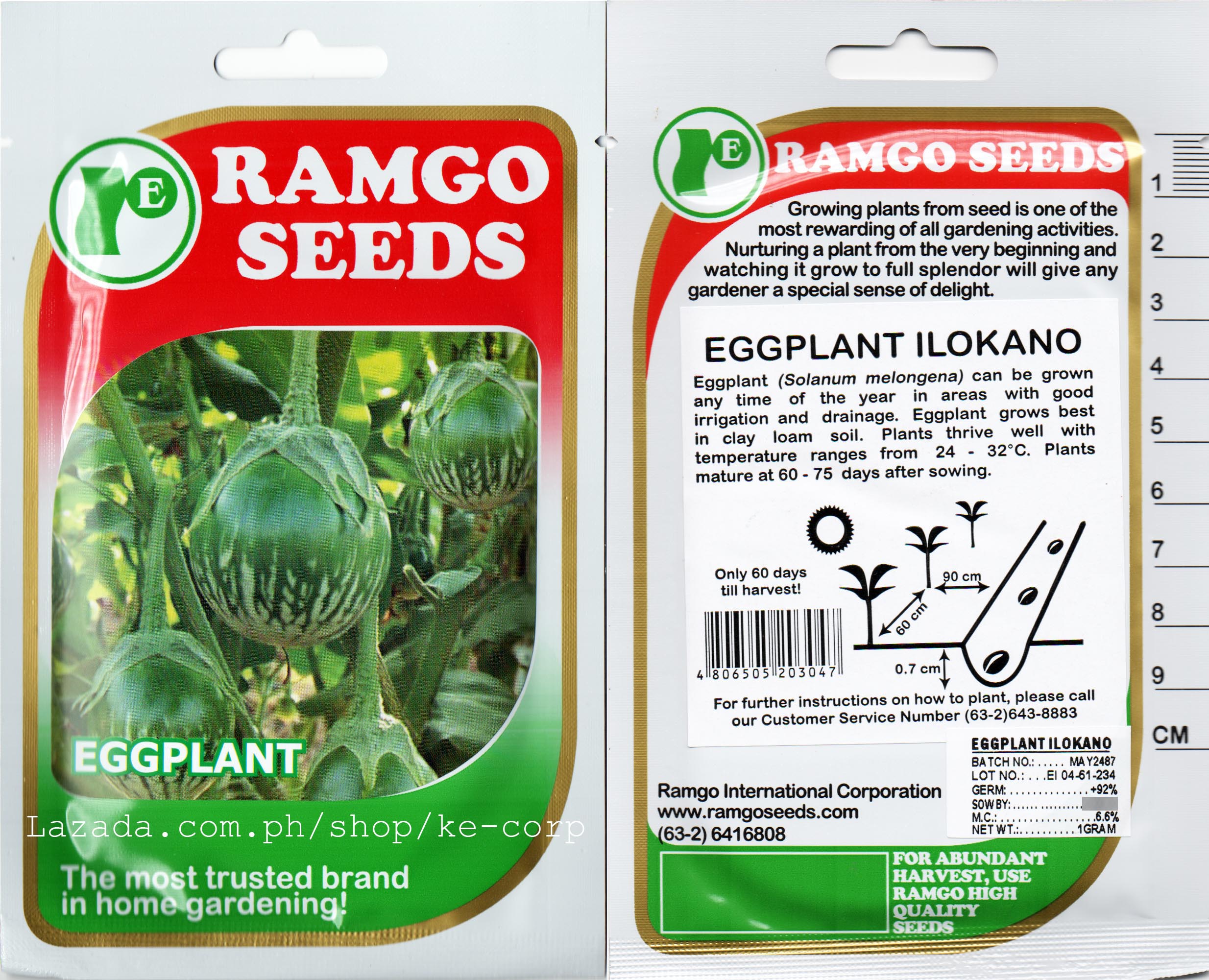 Ramgo Seeds RPO EGGPLANT (ILOKANO) 1gram | Lazada PH