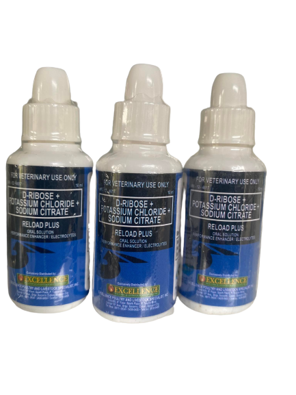 Reload plus Rockdove 10ml - 1 pc | Lazada PH