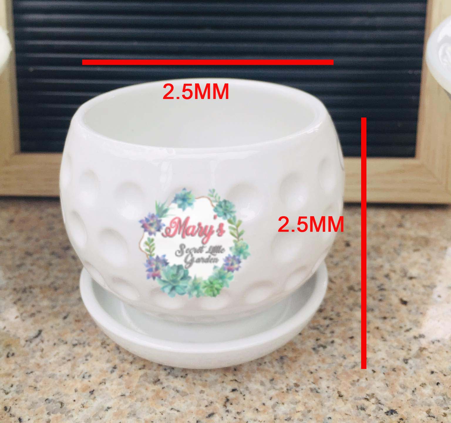 Ceramic pot with plate Succulent Pot Cactus pot Golf Ball Design ...