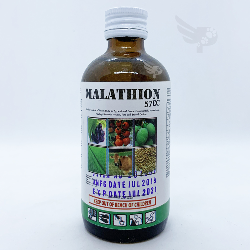 MALATHION 57EC - 100ml - 57 EC - INSECTICIDE - PESTICIDEE - petpoultryph | Lazada PH