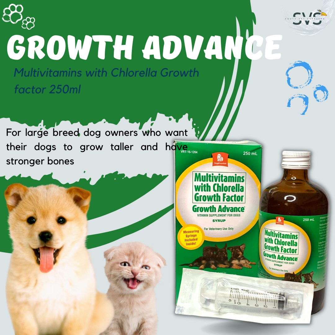 [SOUTH VET] Growth Advance Vitamin 250ML Syrup Supplement for large ...