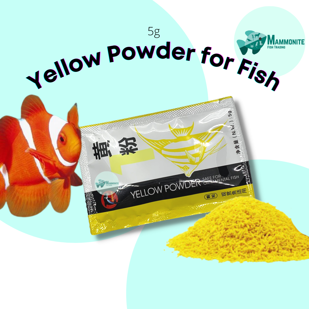 Aquarium Fish Yellow Powder for Ornamental Fish 5g | Lazada PH