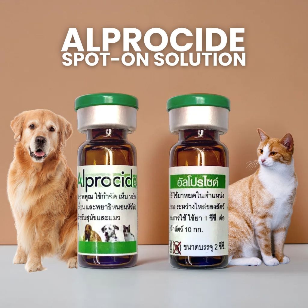 Alprocide Anti Tick and Flea Treatment for Dogs and Cats Prevent and ...