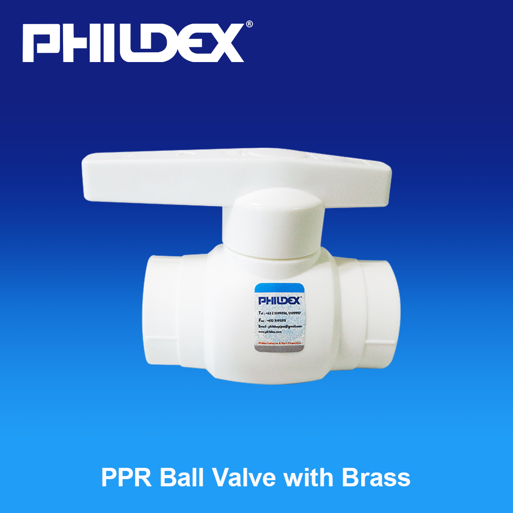 Phildex PPR Ball Valve with Brass | Lazada PH