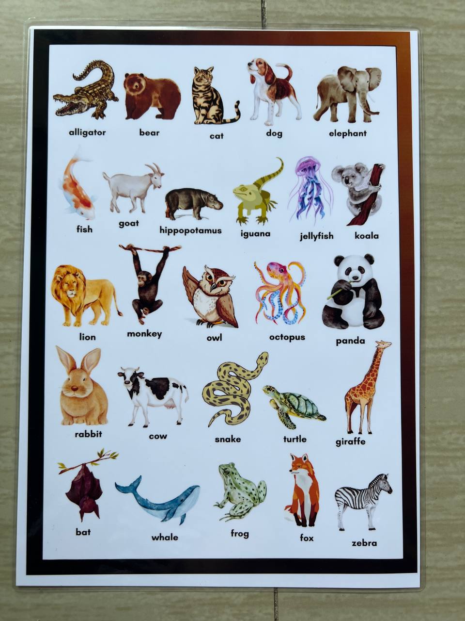Educational learning materials for kids Laminated A4 Size Chart ANIMALS ...