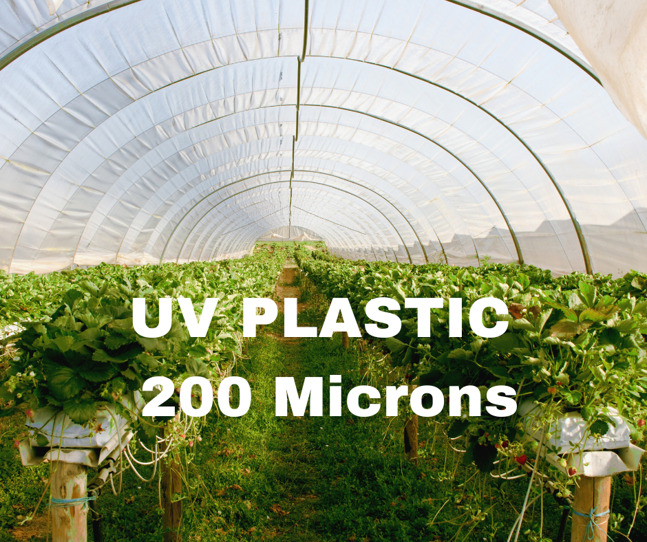 Polyethylene UV plastic 10ft x 1meter (200 microns) 8 mil GREEN HOUSE ...