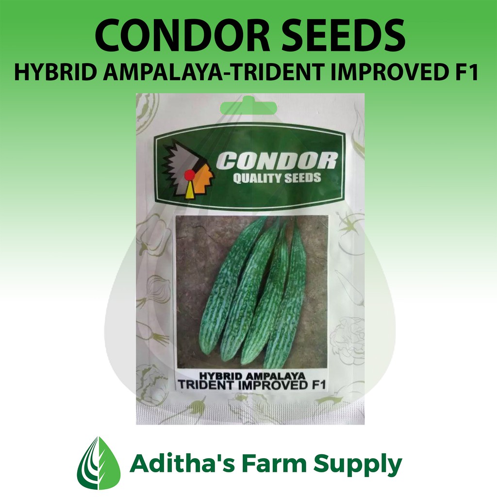 Condor Seeds: Trident Improved F1 (Hybrid Ampalaya) 3 grams | Lazada PH