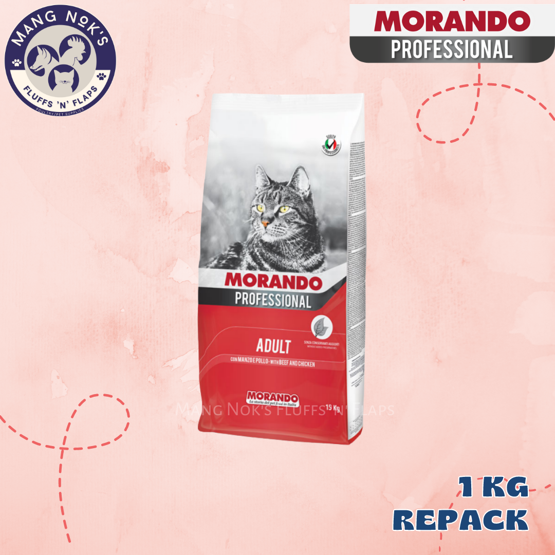 MORANDO Professional Adult Cat with Beef and Chicken or Fish 1Kg Repack ...