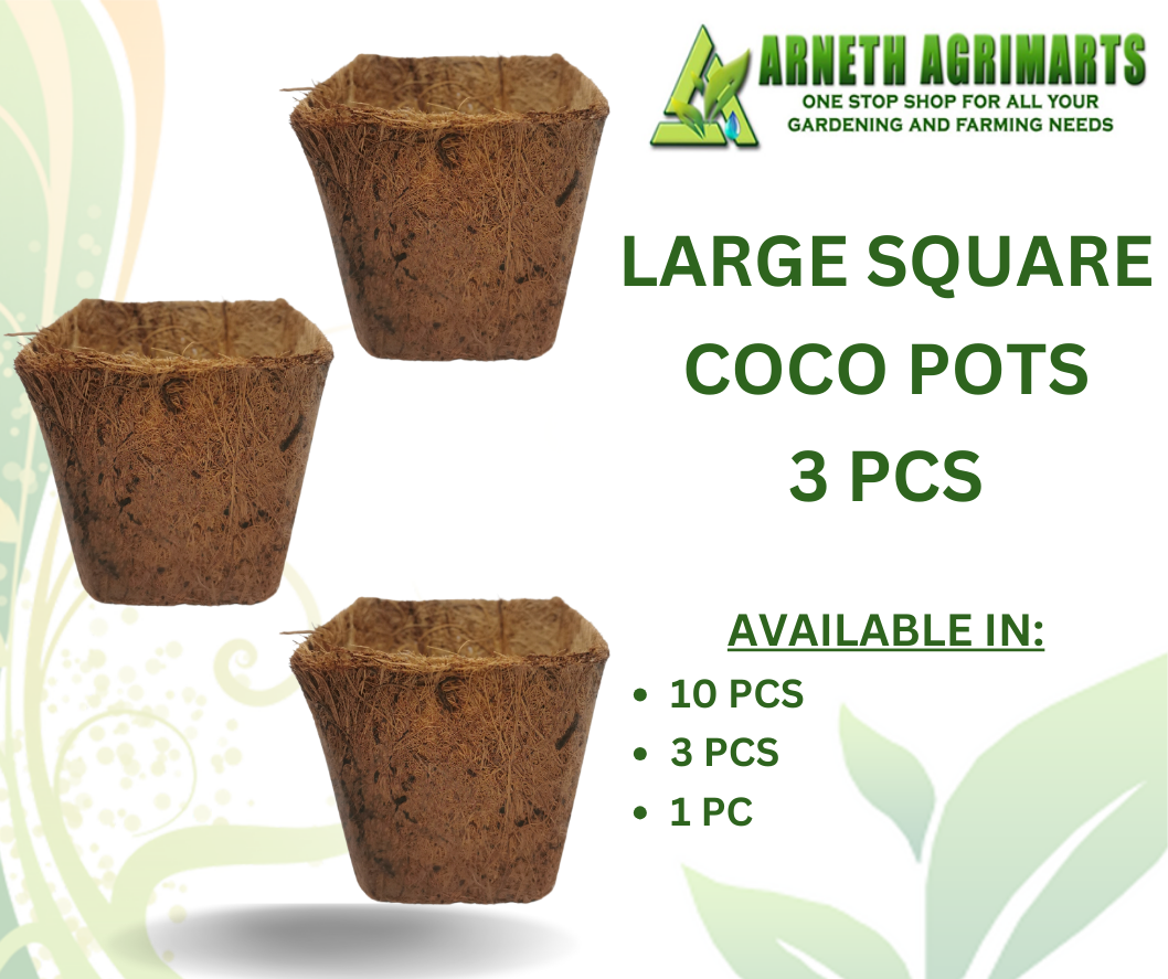 LARGE SQUARE COCO POTS (4.5 INCH) | Lazada PH