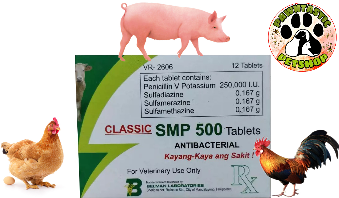 SMP500 [12Tablets] | Lazada PH