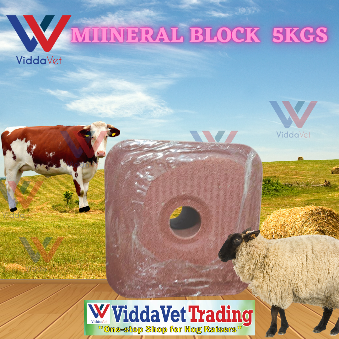 Mineral Block 5 kgs Intro Fort Block Mineral Block 5kgs Holland for ...
