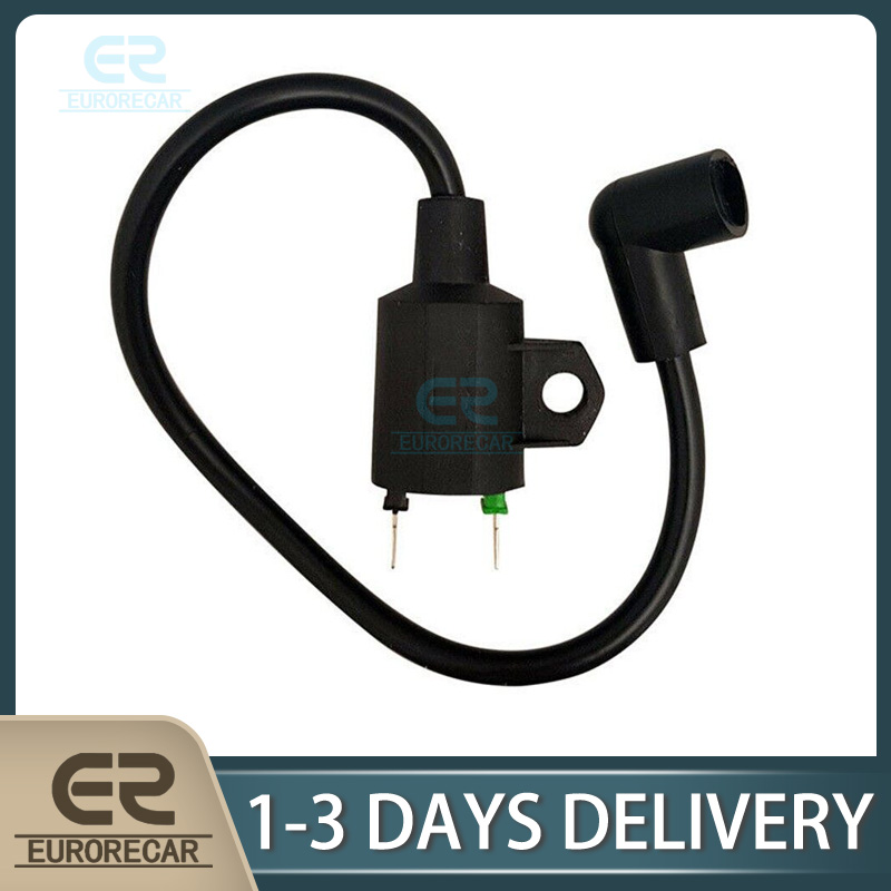 Igniter Stator ET950 Magneto Coil with CDI Coil Igniter 4-wires for 950 ...