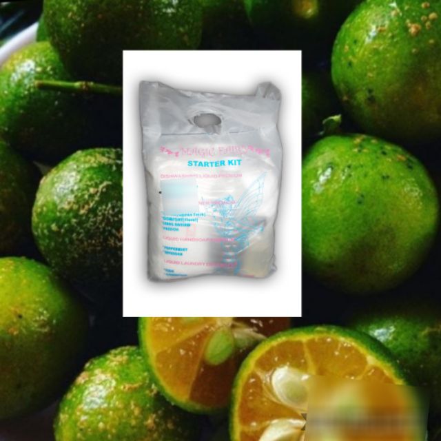 Dishwashing liquid making kit calamansi scent OP | Lazada PH