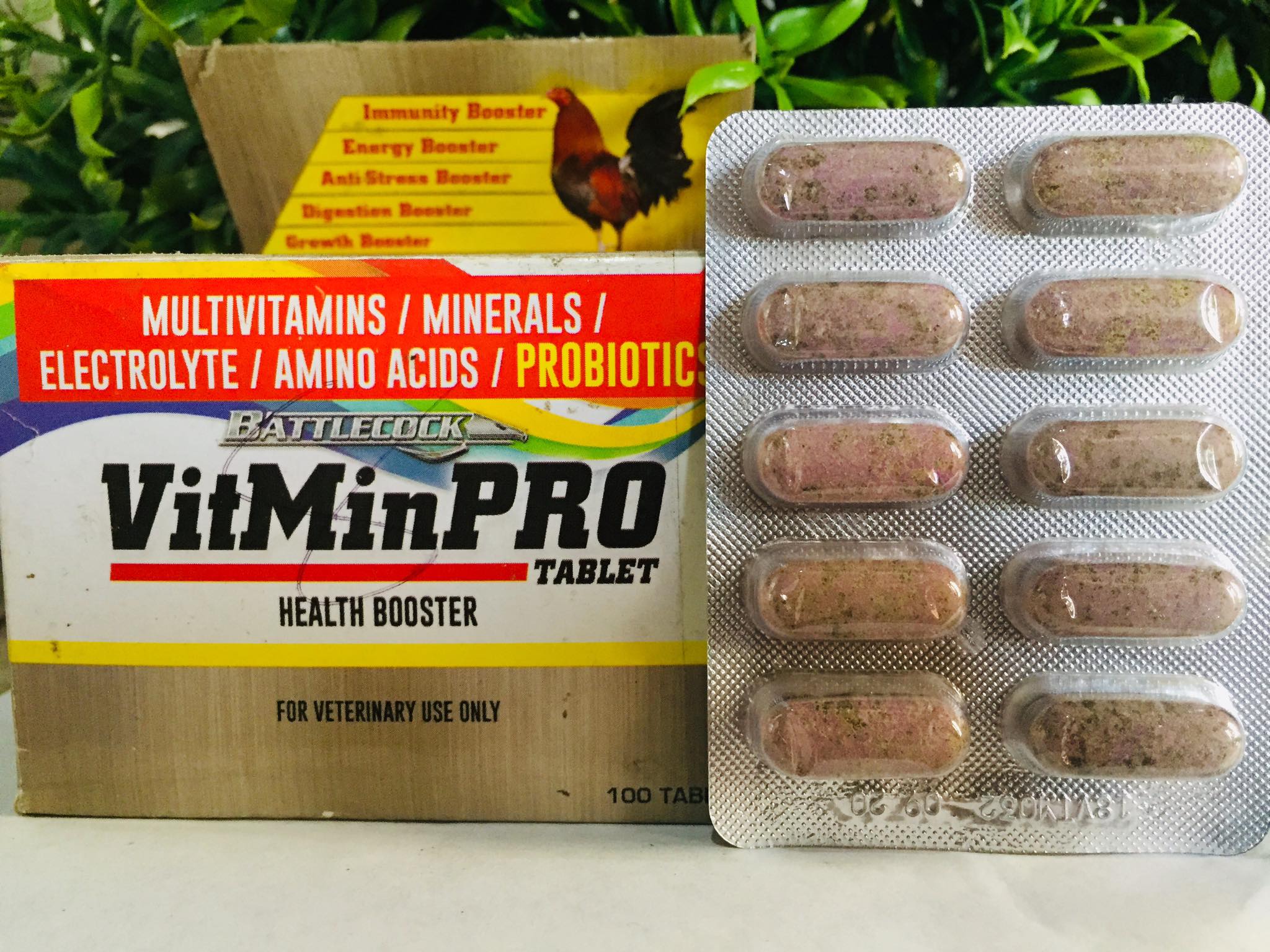 VitMinPRO Tablet (10 tablets) | Lazada PH