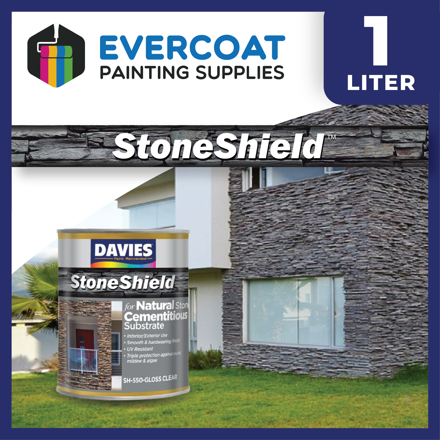 Davies Stone Shield for Natural Cementitious Substrate 1L | Lazada PH