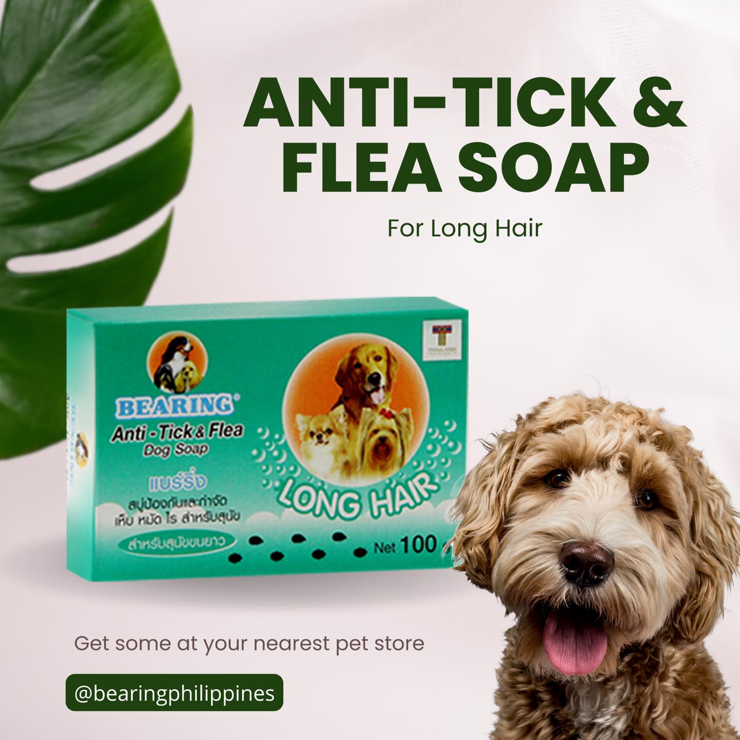 Bearing Dog Soap Anti-Tick & Flea Long Hair 100g | Lazada PH