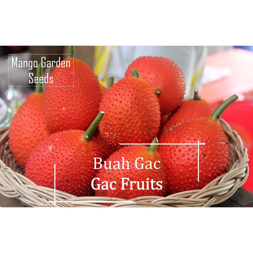 50 Seeds (buy 2 get 1 free) Gac Fruits Gac Fruit Fresh Selfharvestmango ...