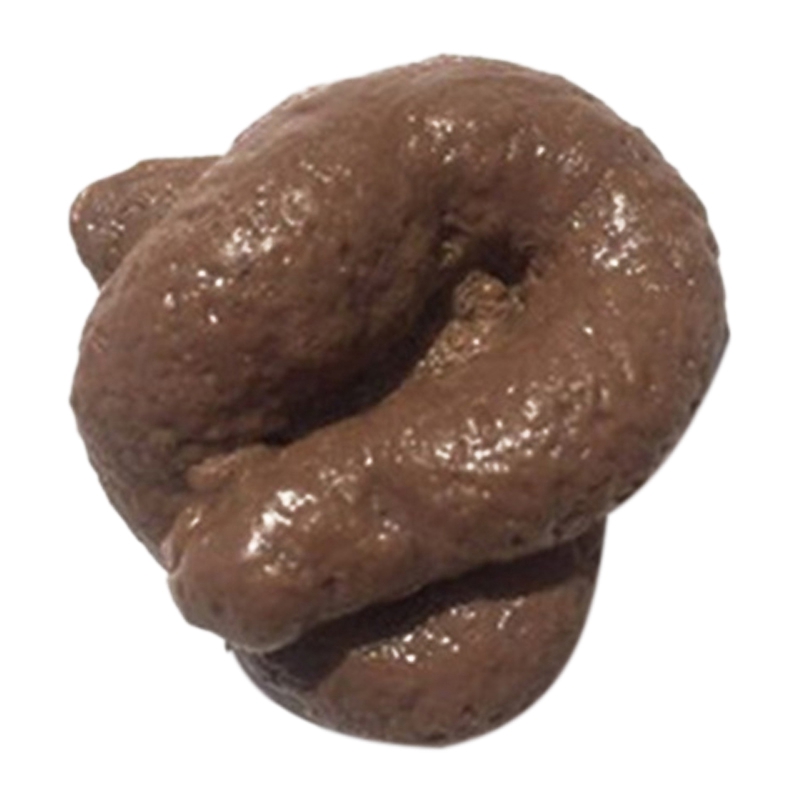 Simulation Poop Toy Realistic and Funny Poop Toy Fake Poop Prank Gift ...