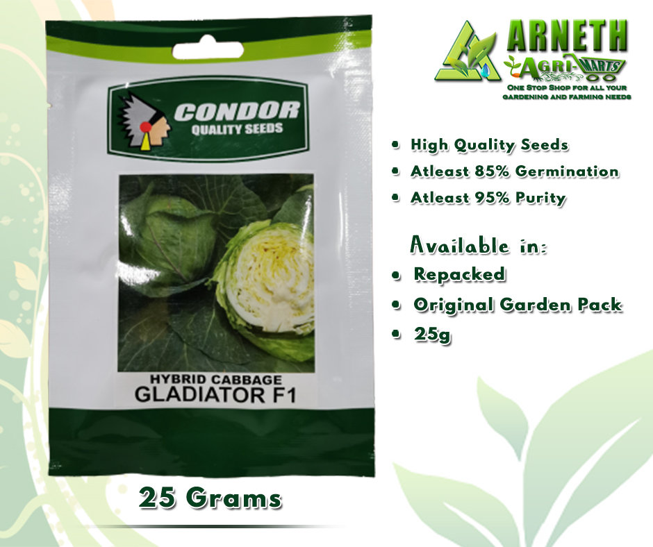 CONDOR GLADIATOR F1 HYBRID CABBAGE (25G) | Lazada PH