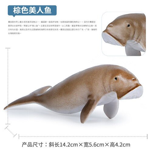 Simulation Marine Life Model Merma Dugong Dugon Children's Animal ...