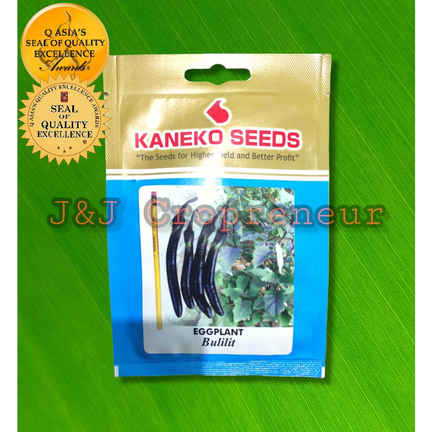 TALONG SEEDS (475 SEEDS) BULILIT (KANEKO SEEDS) | Lazada PH