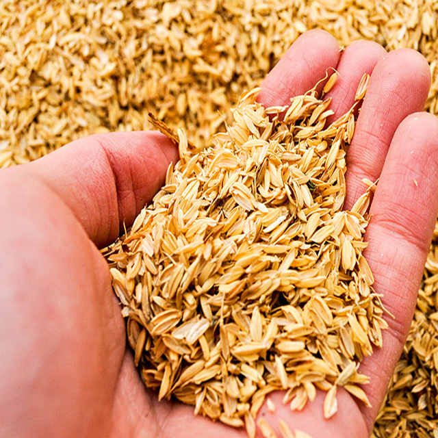 FRESH RICE HULL or IPA l 10 kilos l Best for Gardening l Maganda Pang ...