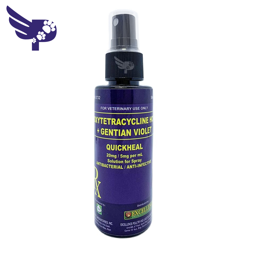 QUICK HEAL 50ml - EXCELLENCE - QUICKHEAL 50ml - Heal Wounds - for ...