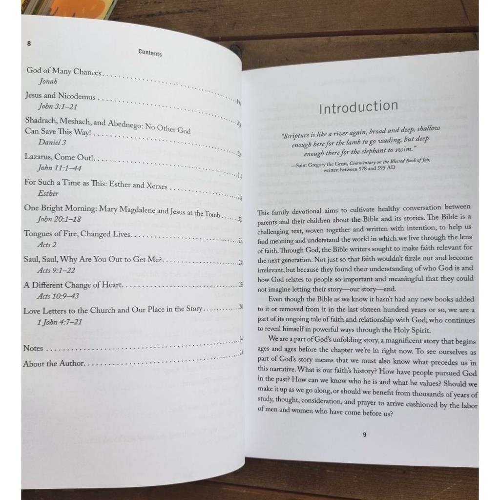 Our Daily Bread: The FAMILY BIBLE DEVOTIONAL: Stories from the Bible to ...
