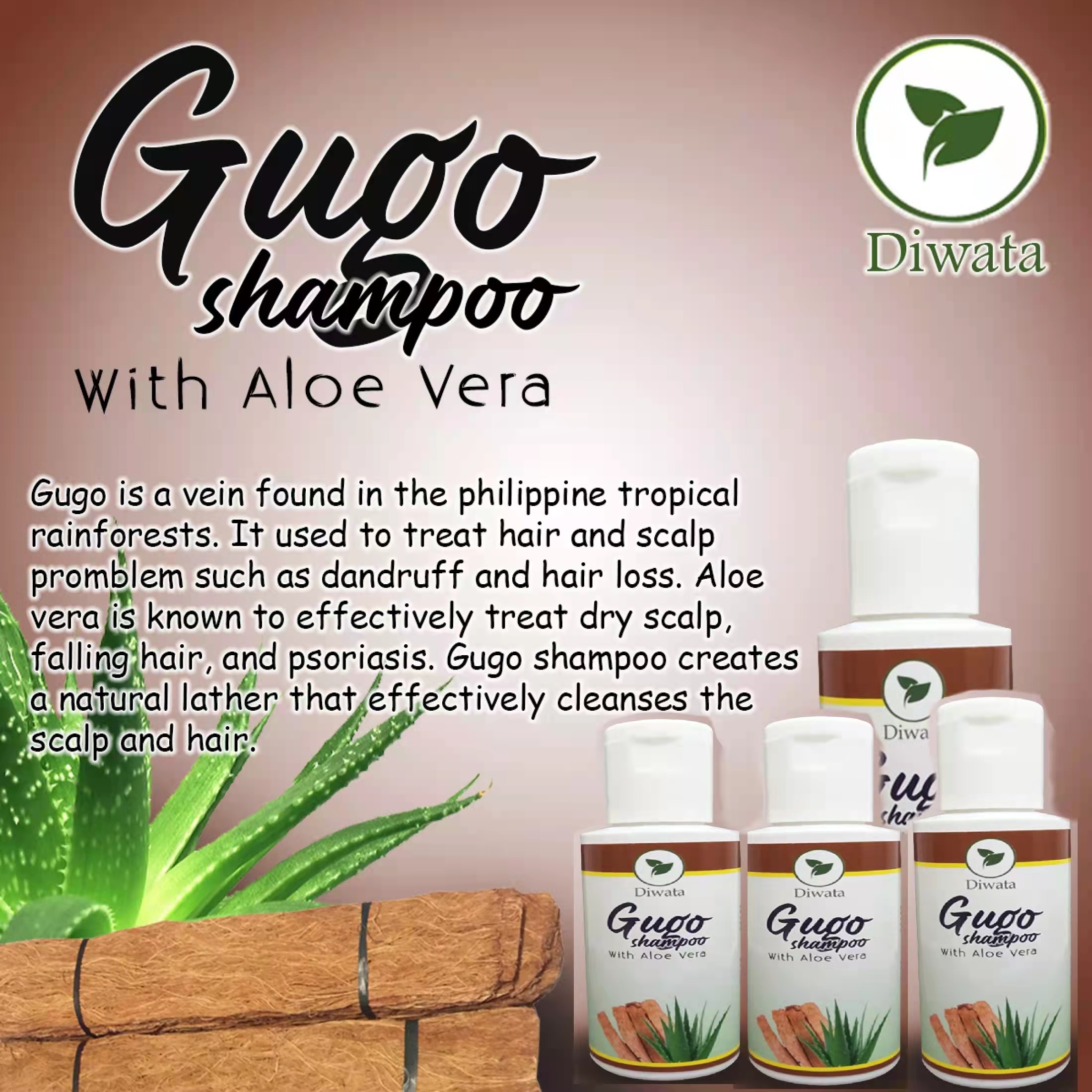 Diwata Gugo Shampoo with Aloe Vera | Lazada PH