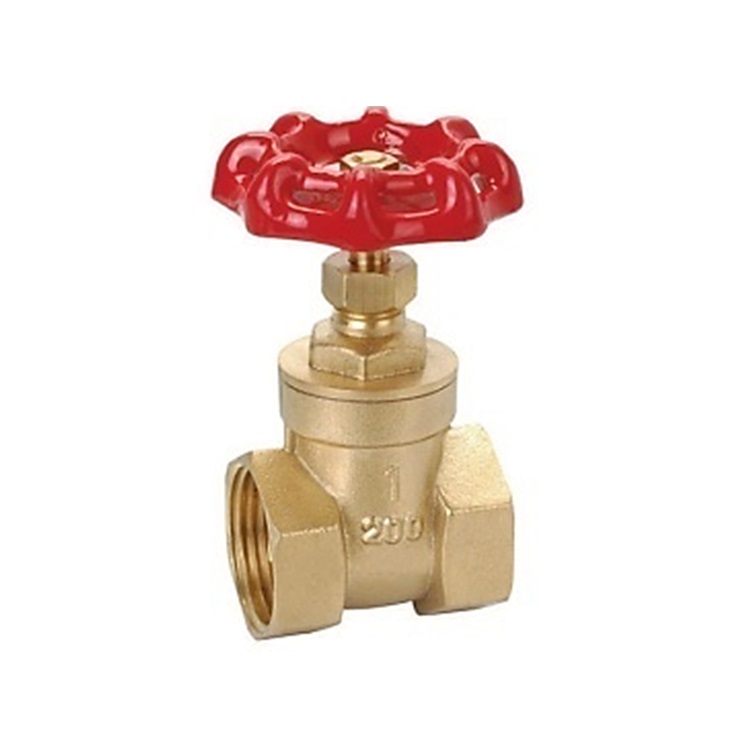 Hawk Gate Valve Brass 1/2" / 3/4" | Lazada PH