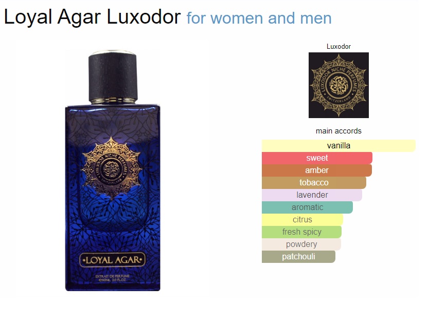 Luxodor Loyal (PDM LAYTON CLONE) 80ml extrait perfume | Lazada PH