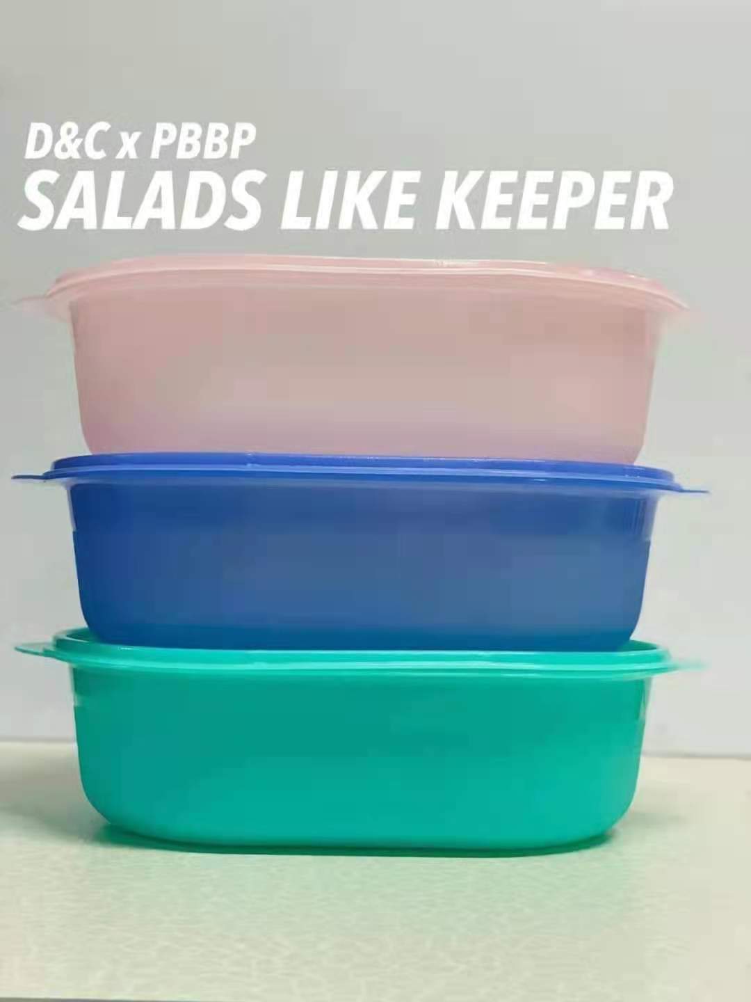 Set of 2 Salad Tupperware Food Keeper | Lazada PH