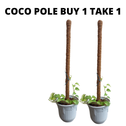 COCO POLE FOR GARDENING 1.5 FT BUY 1 TAKE 1 COCO POLE STACKABLE ...