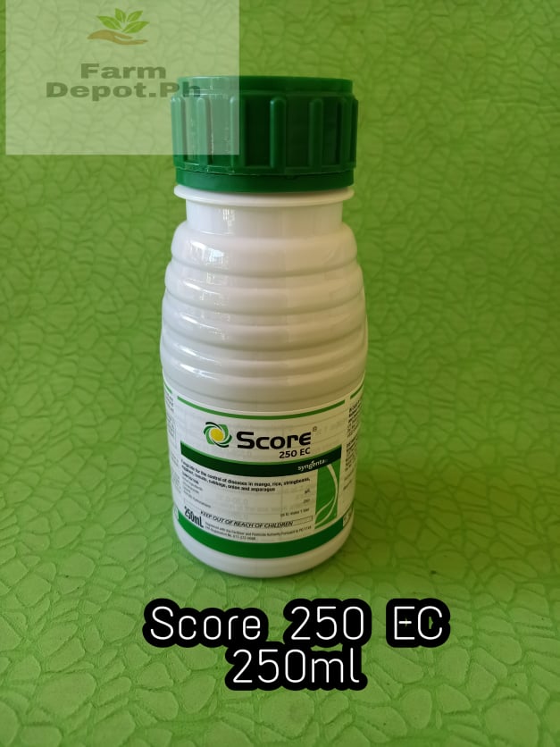 Score 250EC Fungicide by Syngenta 500ml/250ml | Lazada PH