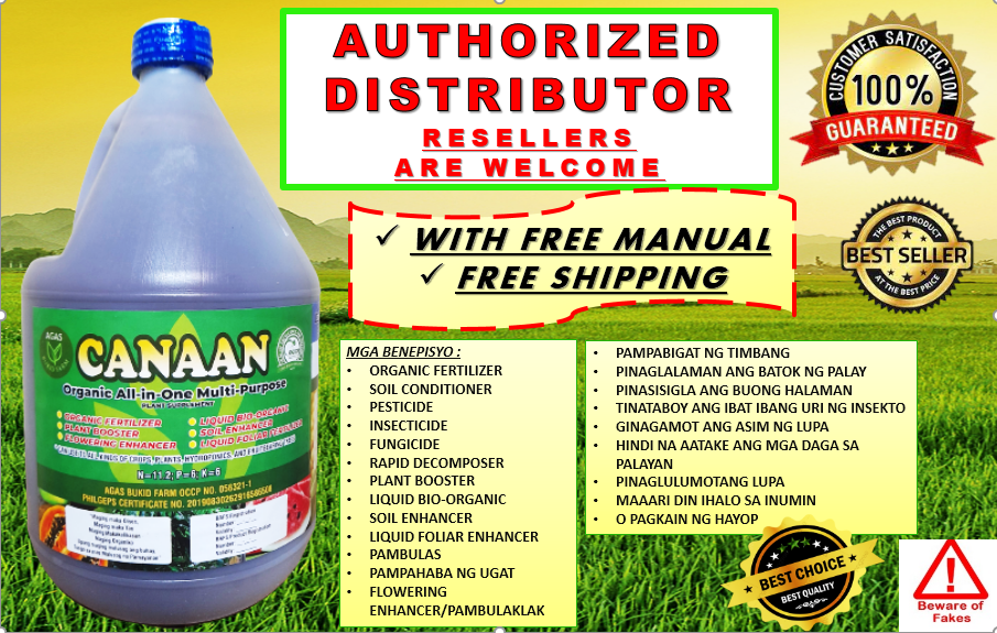 CANAAN NANO ORGANIC FOLIAR FERTILIZER 1 GALLON | Lazada PH