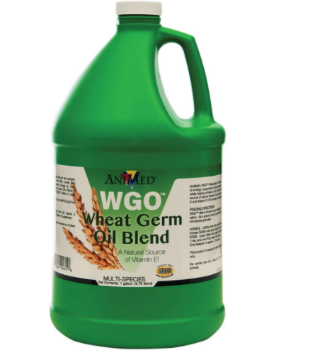 AniMed WGO Wheat Germ Oil Blend For Horses and Dogs (1 Gallon Bottle ...