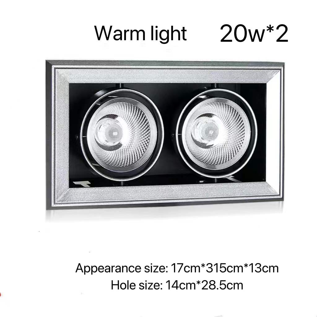 20w 40w led bold light grille light double head downlight ceiling ...