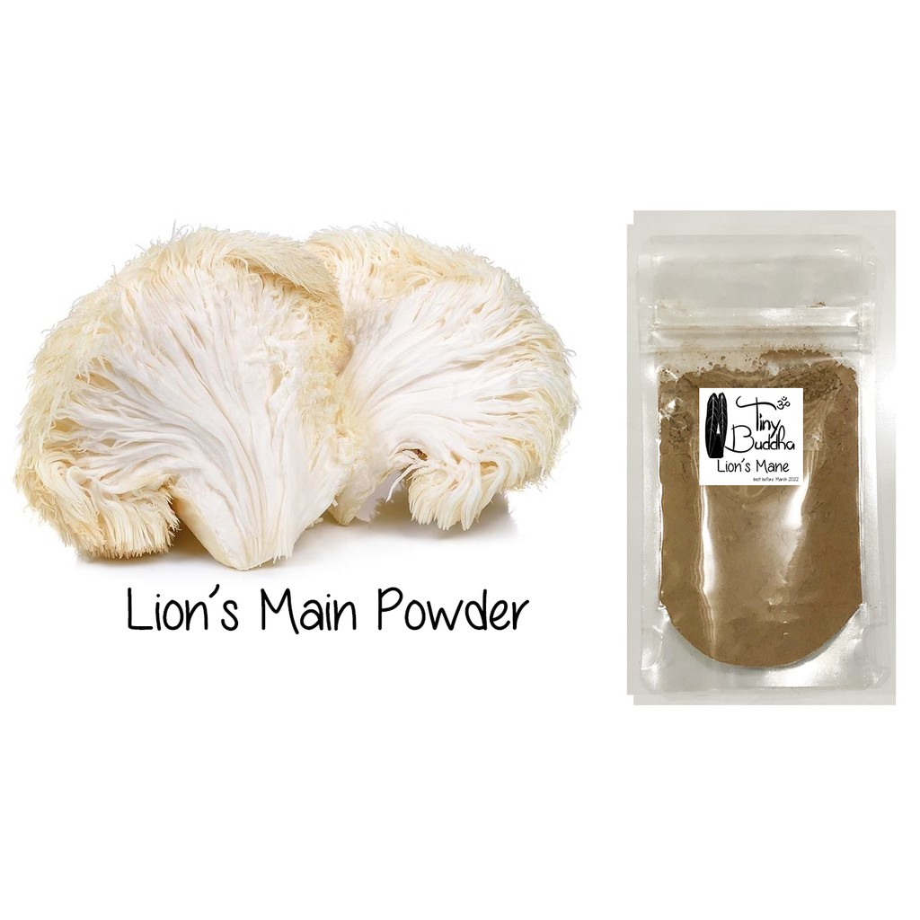 organic lion's mane lion lions extract mushroom powder 25g superfood ...