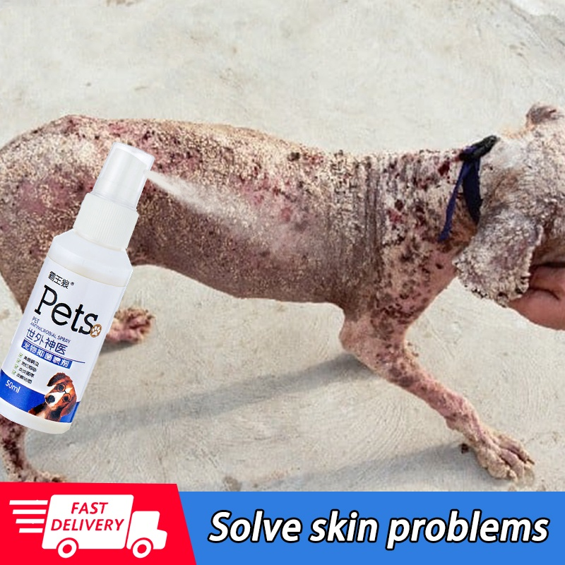 [Veterinary Recommended] 50ML Pet Skin Treatment Spray Pet Skin Care ...