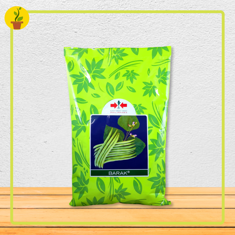 French Beans Seeds (Barak Variety) [1,000 Grams Bag] - Eastwest By ...